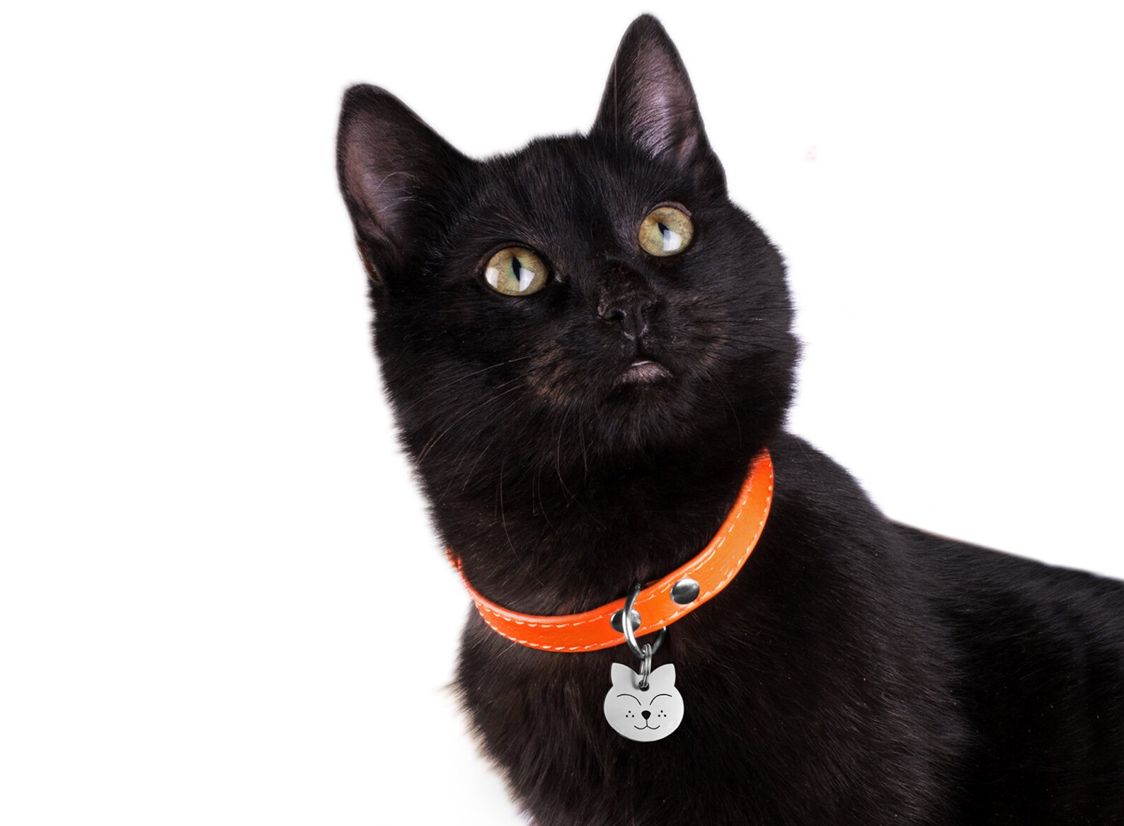 Personalized Cat ID Tag: Engraved Stainless Steel Pet Collar Token - Etsy