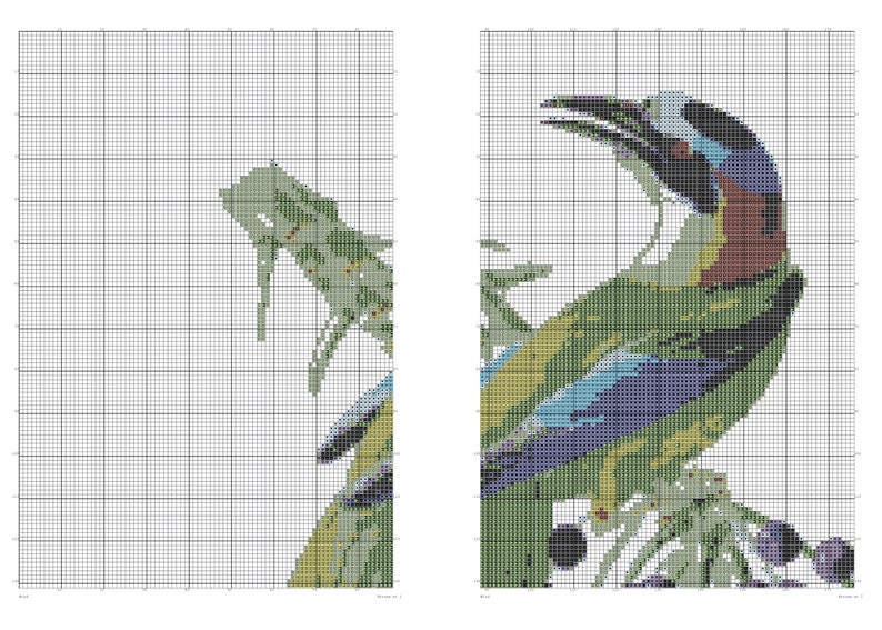 Bird Cross Stitch Pattern PDF Zoology Cross Stitch Colorful - Etsy