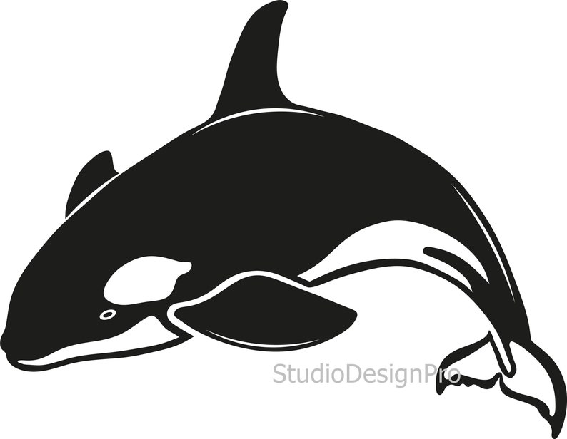 Orca Svg Download Orca Svg For Free 2019 - Riset
