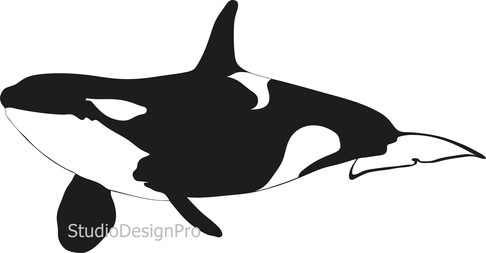 Orcas SVG Kit Digital Download includes Svg Dxf Eps Ai - Etsy Hong Kong