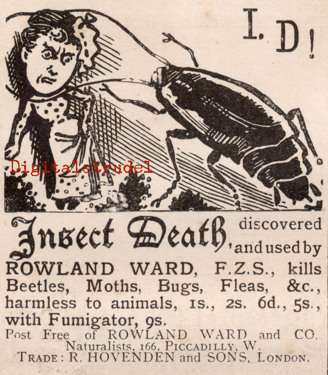Insect Death! - Antique Victorian Advertisement for Pest Control - From ...
