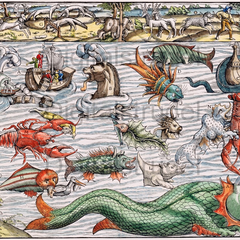 Sea Monster Print - Etsy