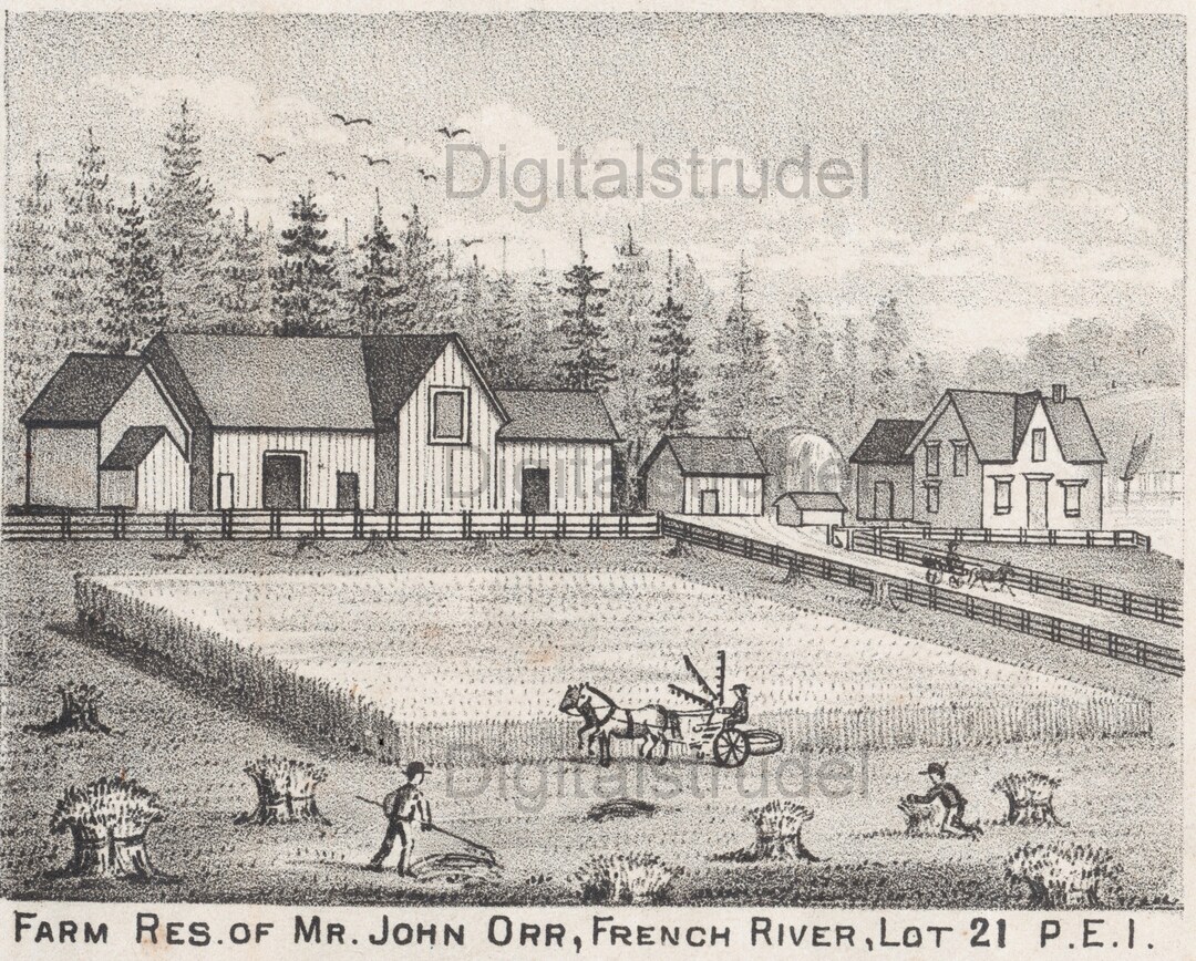 1880 Antique Print of Prince Edward Island Scenes - French River - Lot ...