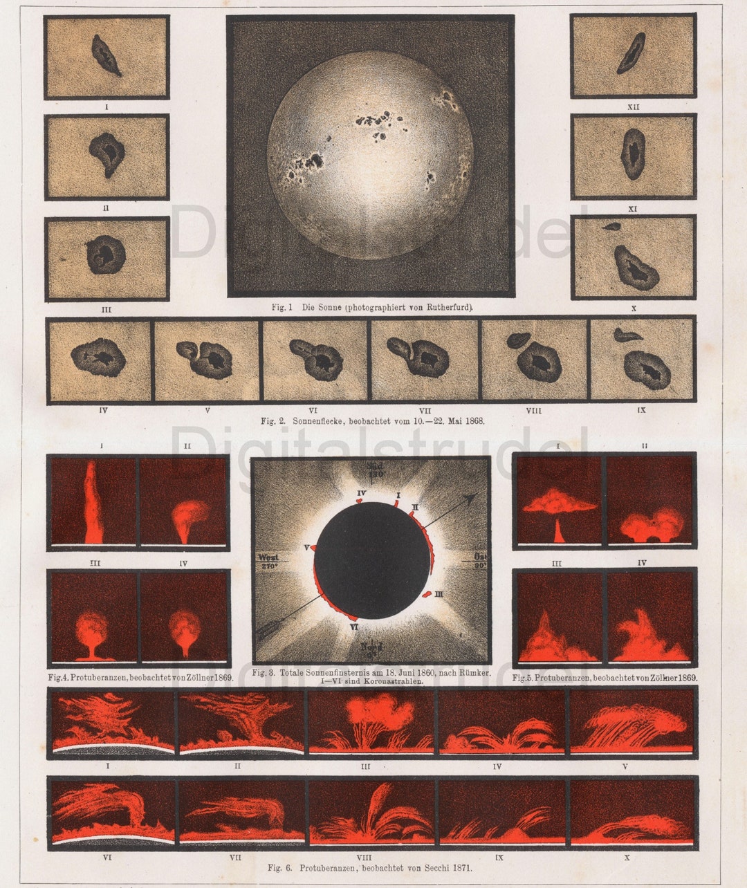 1892 Print of the Sun - Eclipses - Solar Phenomena - Solar Flares ...