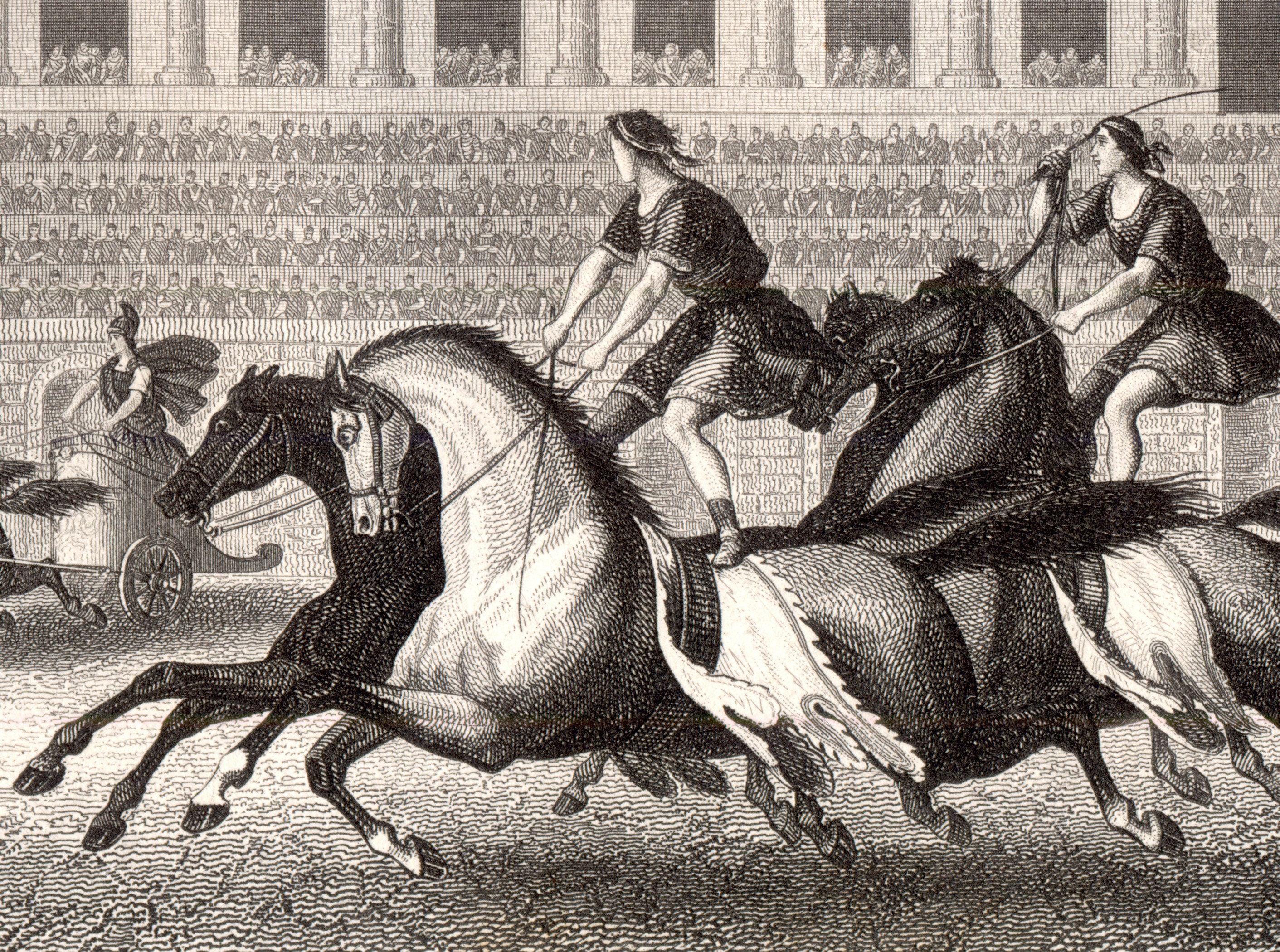 Roman Chariot Race - Circus Maximus - Antique Illustration - DIGITAL ...