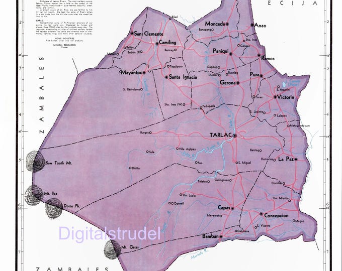 1959 Large Vintage Map of Tarlac Province, the Philippines - VERY RARE ...
