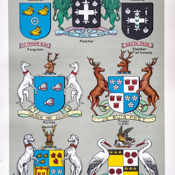 Scottish Coat of Arms - Etsy