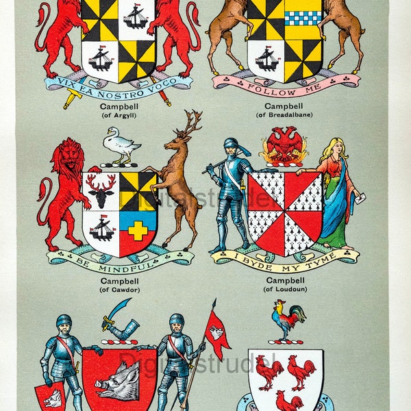 Chisholm Coat of Arms - Etsy UK