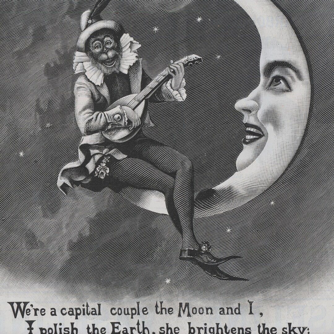 1891 Antique Victorian Advertisement for Brooke's Soap - the Moon and I ...