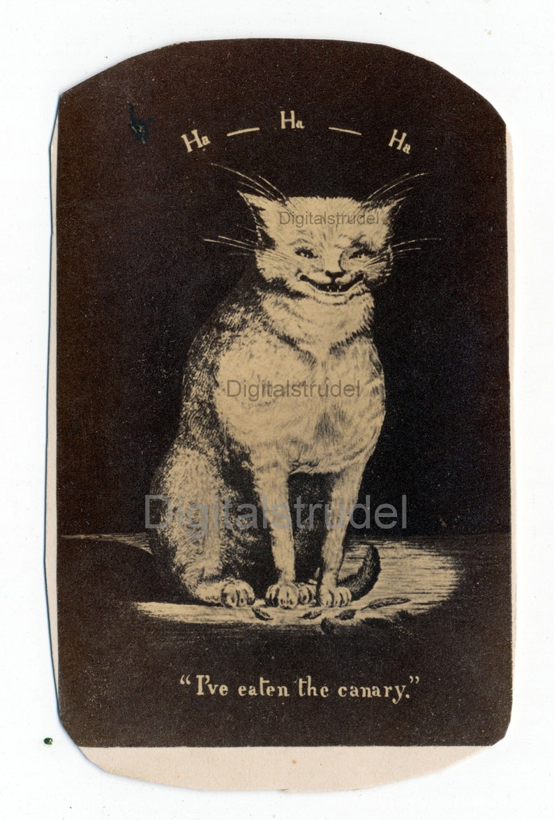 Antique CDV carte De Visite Evil Gloating Cat I've Eaten the Canary ...