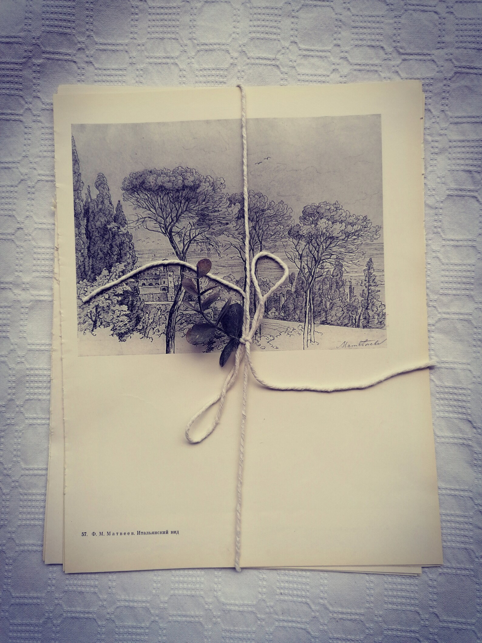 Antique Illustrated Papers From 1900 1920, Ephemera Pack, Antique Book ...