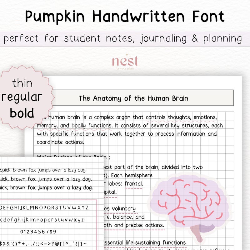 Grace's Notes - Etsy