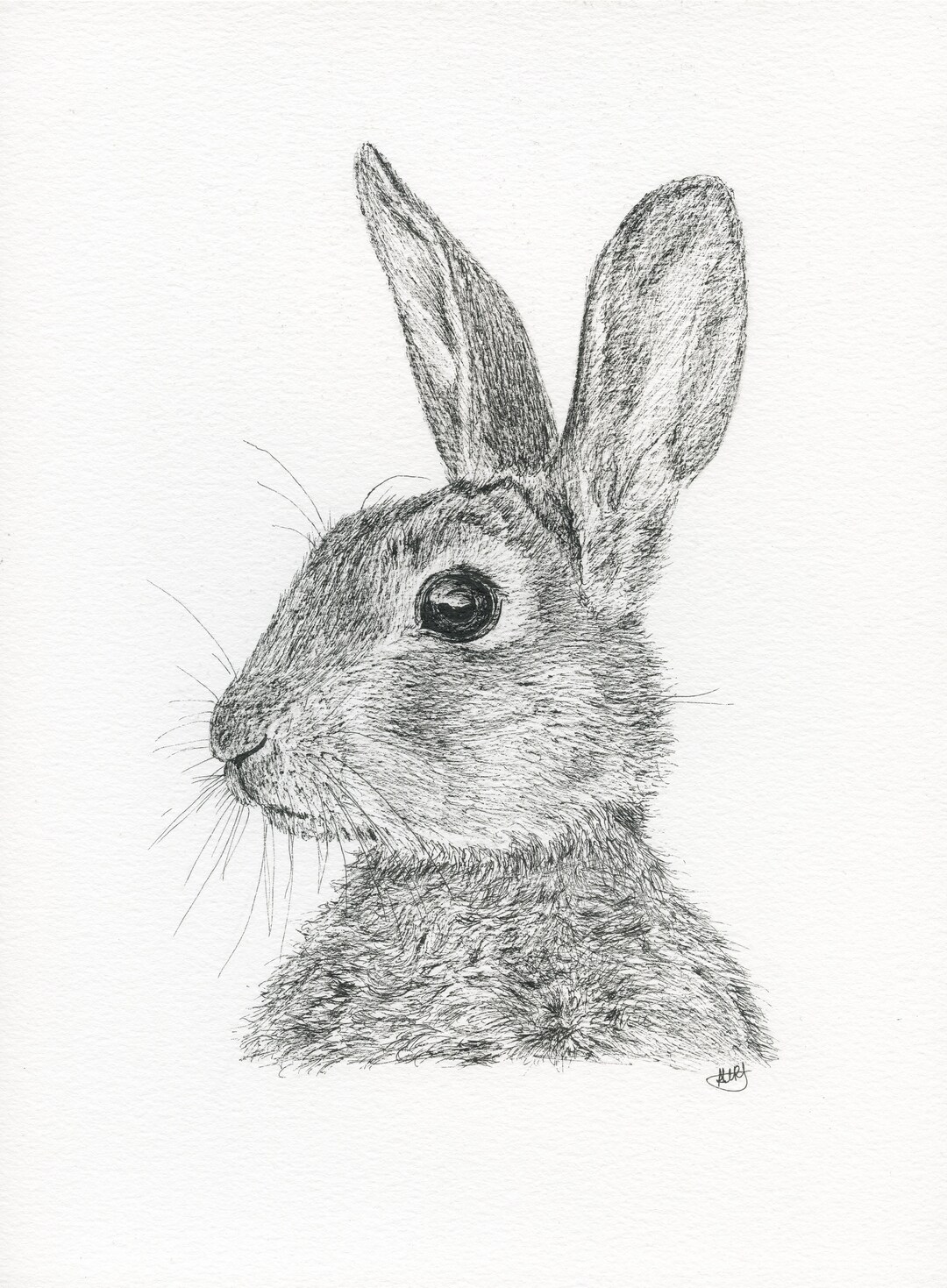 ORIGINAL A4 Rabbit Drawing Hand-drawn Animal Art Realistic Wildlife ...