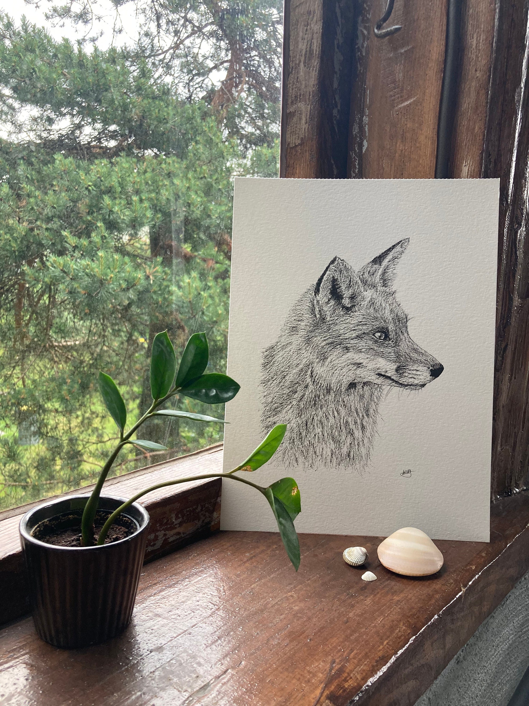 ORIGINAL Fox, Pen on Watercolour Paper, A4 - Etsy