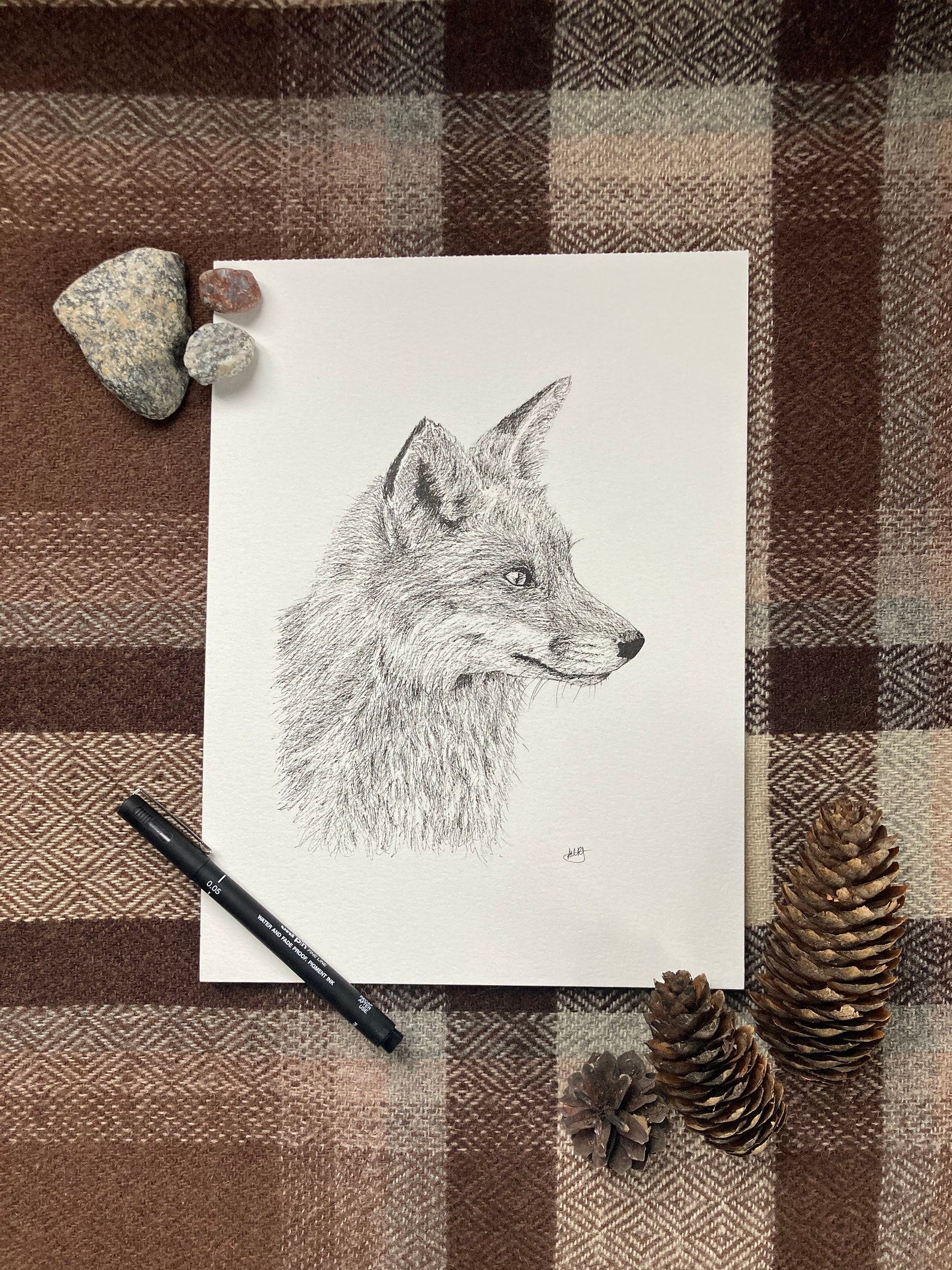ORIGINAL Fox, Pen on Watercolour Paper, A4 - Etsy