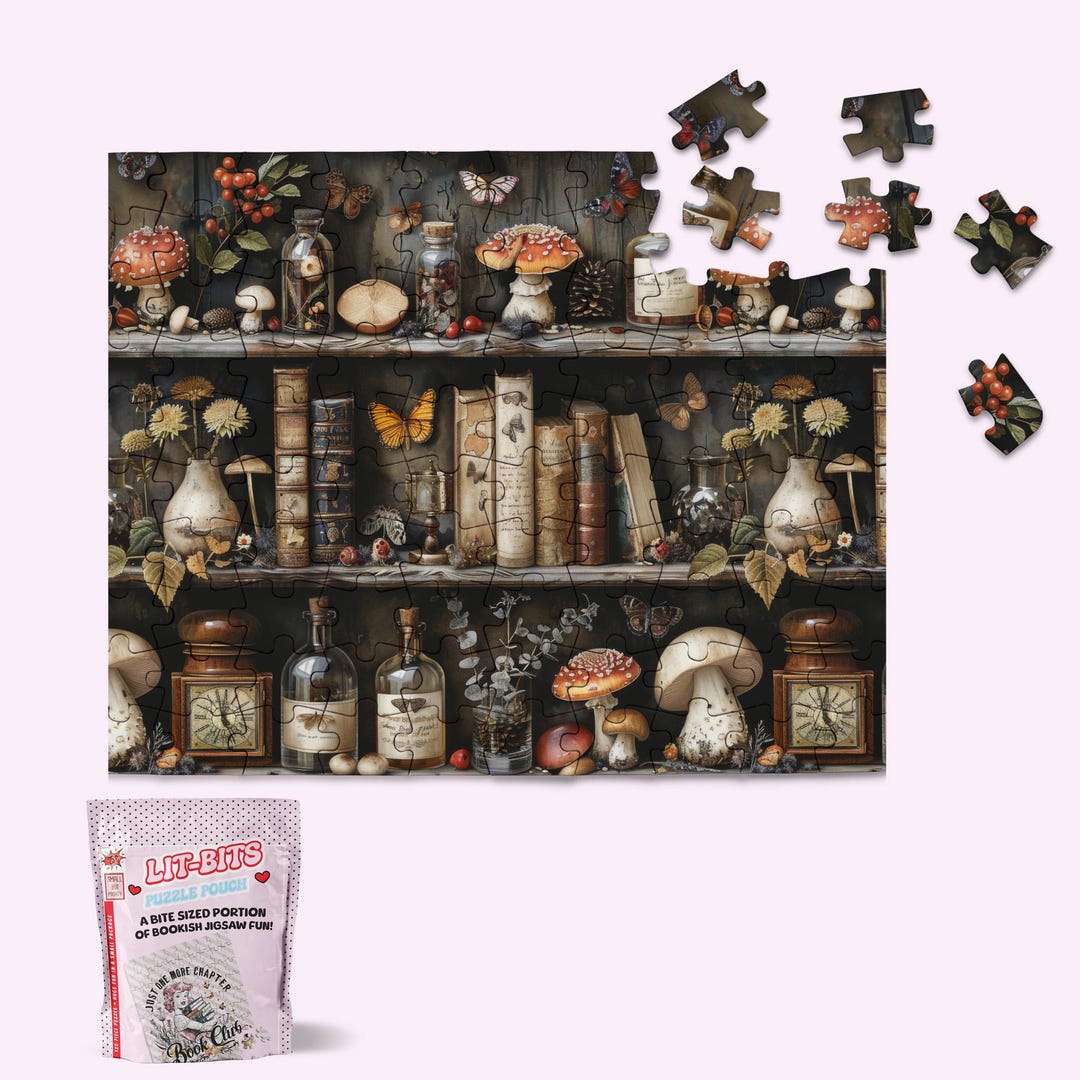 Lit Bits 120 Piece Jigsaw Puzzle - Rustic Bookshelf, Bookish Puzzle ...