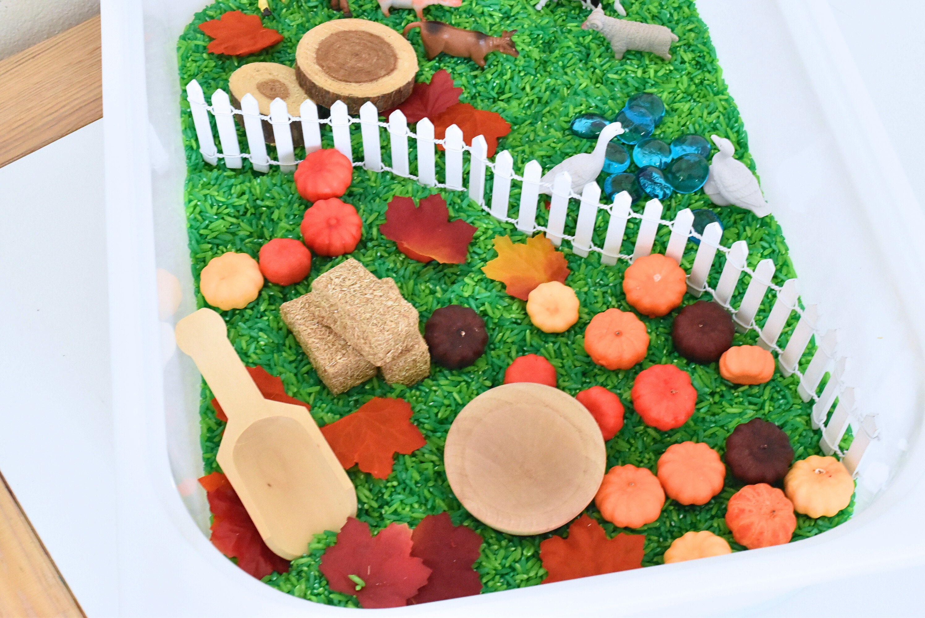 Sensory Bin Pumpkin Patch Sensory Farm Animals Sensory Play - Etsy