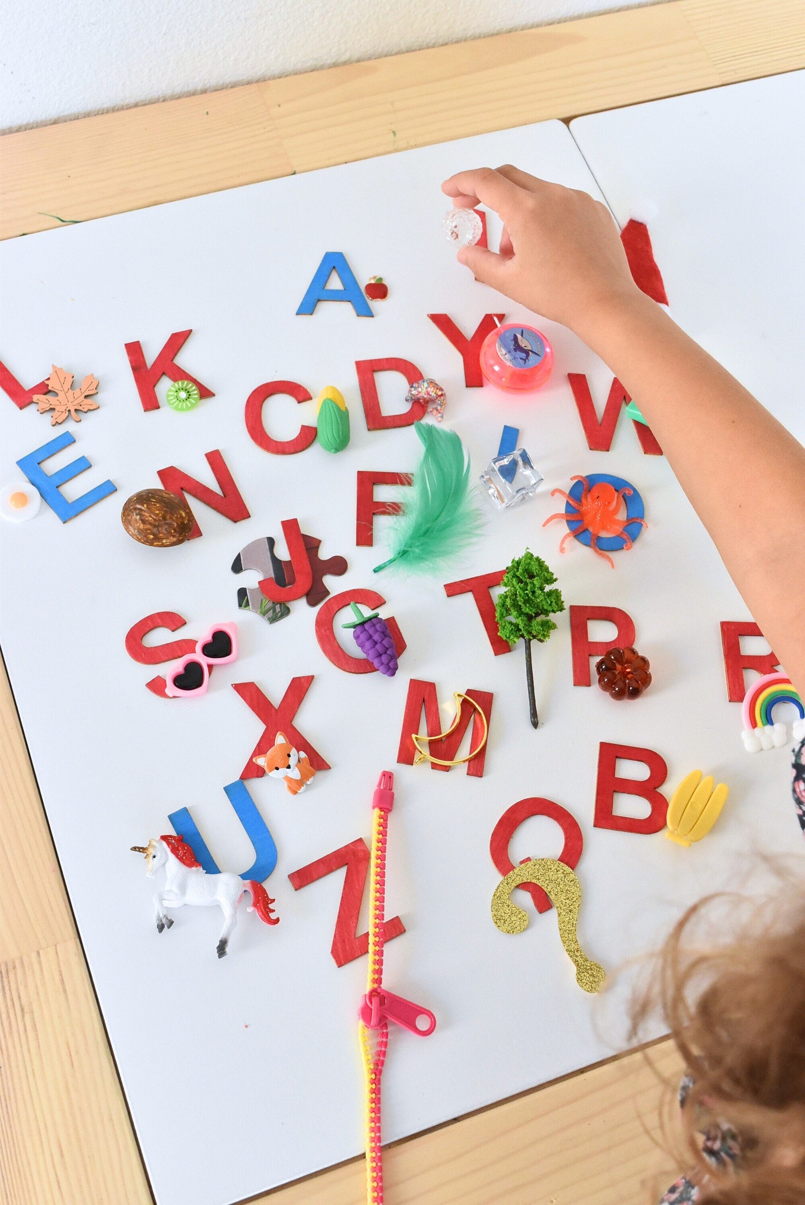 Montessori Language Objects Alphabet Objects Montessori Sound Objects ...