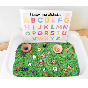 Spring Sensory Bin Letters Matching Sensory Kit Toddler - Etsy