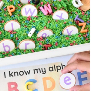 Spring Sensory Bin Letters Matching Sensory Kit Toddler - Etsy