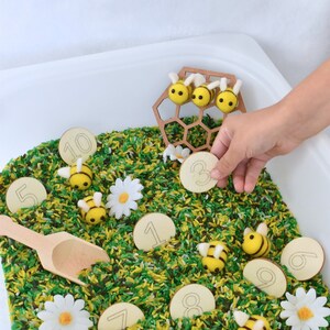 Bee Spring Sensory Bin Bee Counting Sensory Play Kit for Kids Screen ...