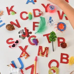 Montessori Language Objects Alphabet Objects Montessori Sound Objects ...