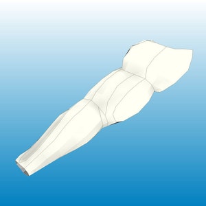 Arm Muscle Templates - Foam - Etsy