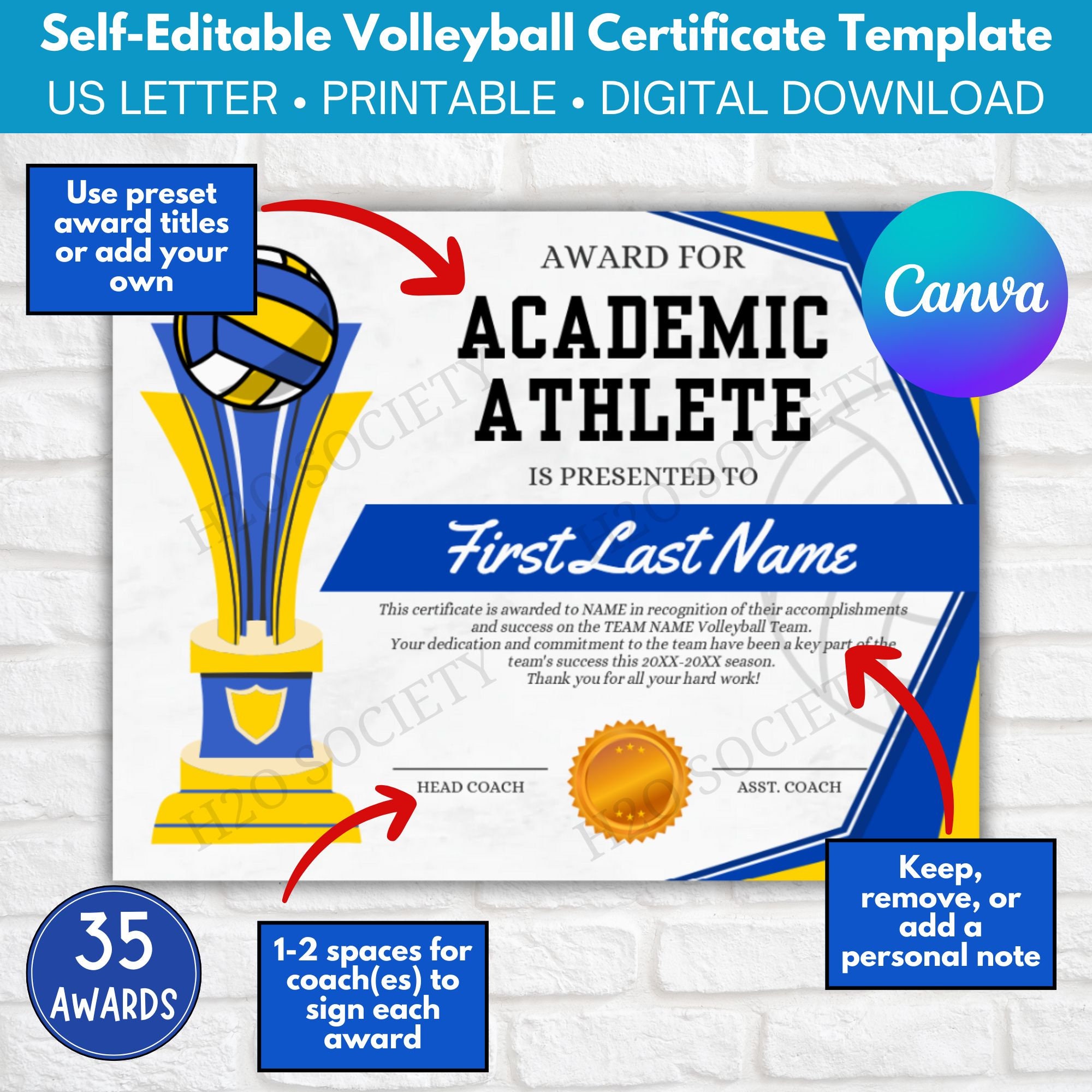 Editable Volleyball Award Certificates, Canva Template, Certificate ...