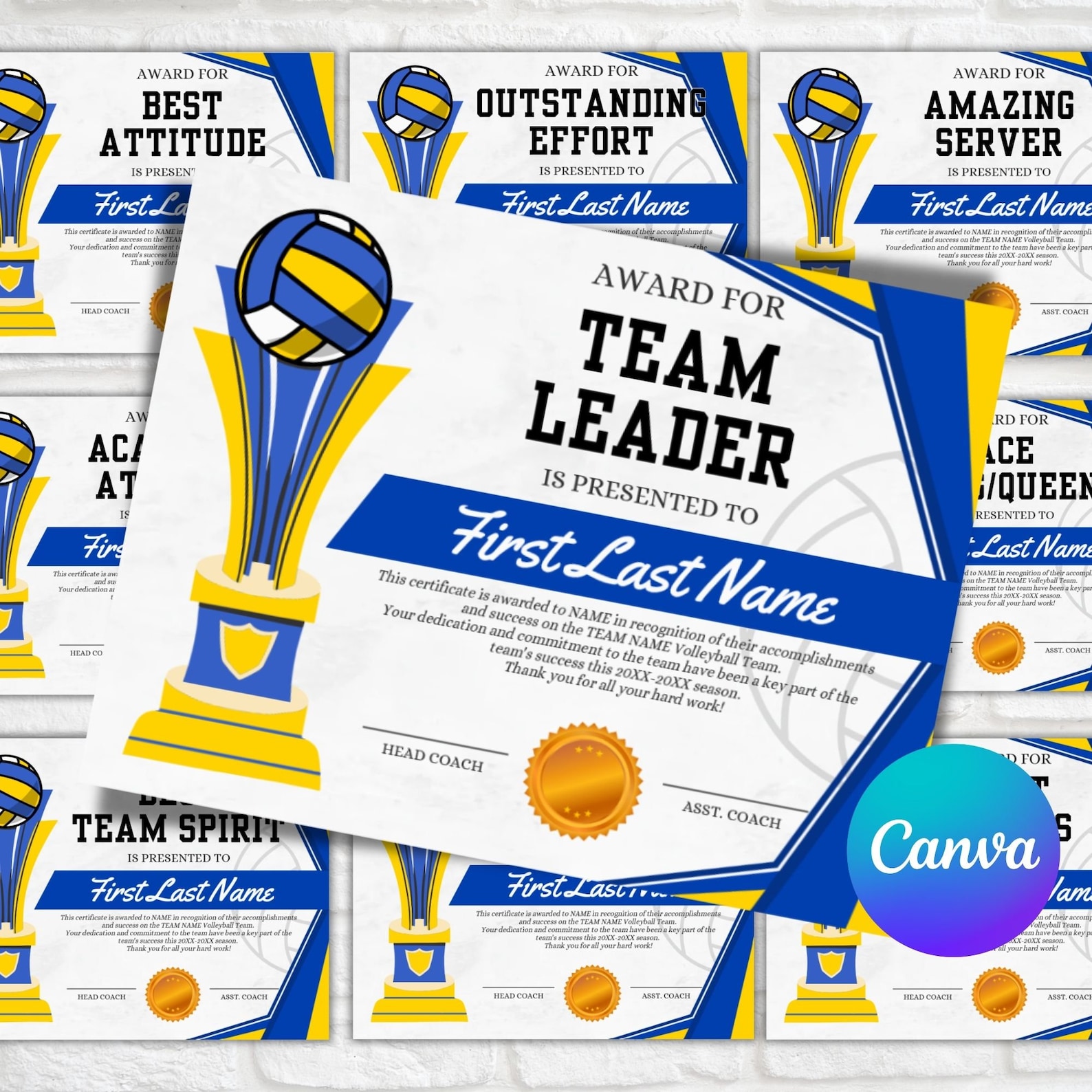 Editable Volleyball Award Certificates, Canva Template, Certificate ...