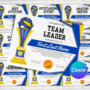 Editable Volleyball Award Certificates, Canva Template, Certificate ...