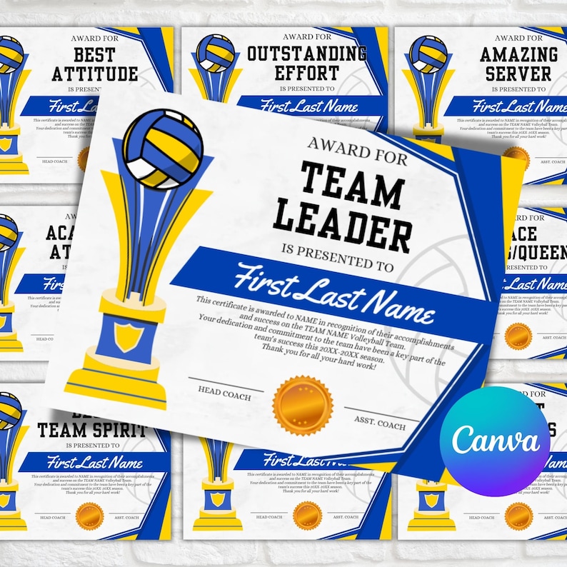 Editable Volleyball Award Certificates, Canva Template, Certificate ...