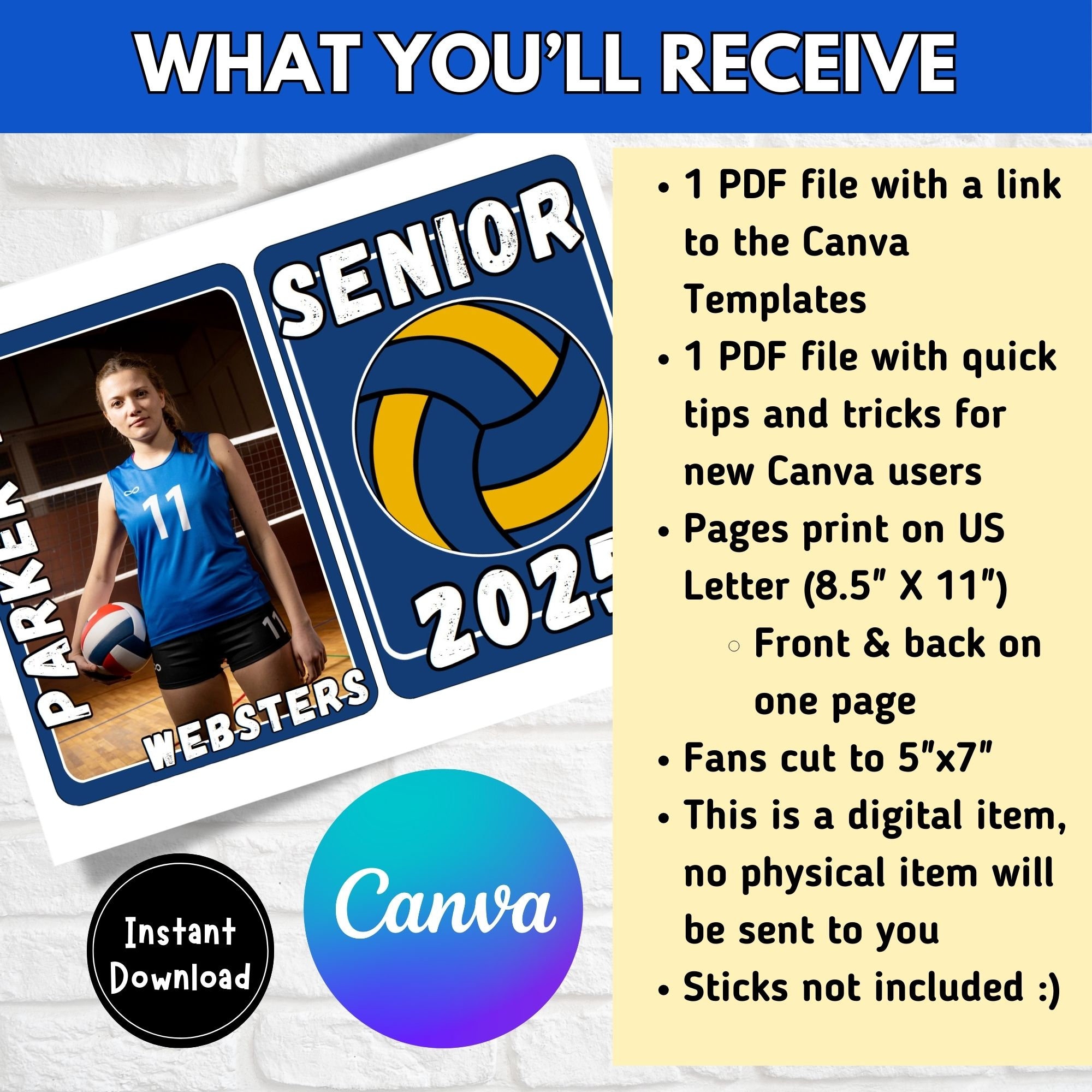 Editable Volleyball Poster, Senior Fan, Volleyball Gift, Senior Night ...