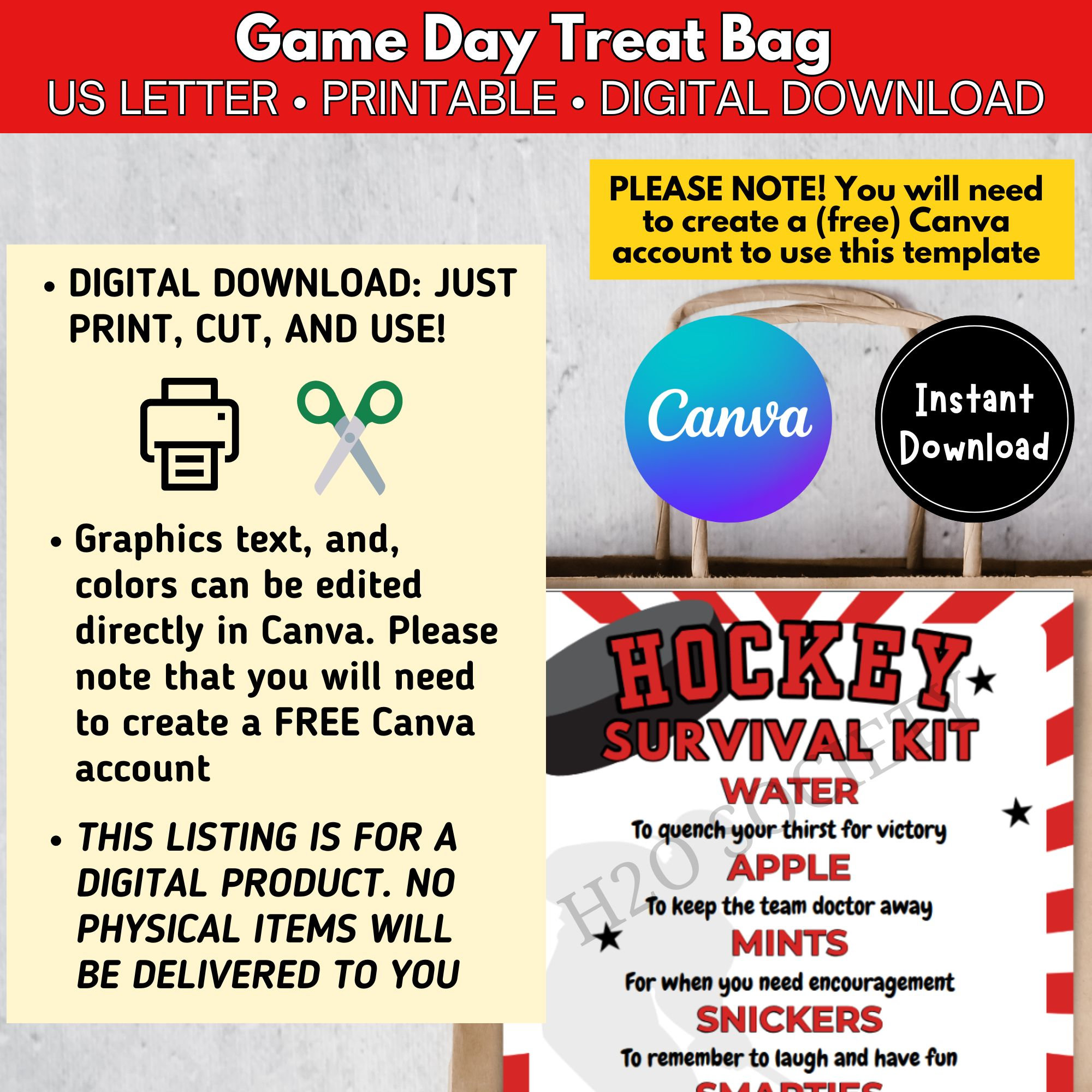 Editable Hockey Survival Kit Gift Tag, Gift Bag Printable, Hockey Gift ...