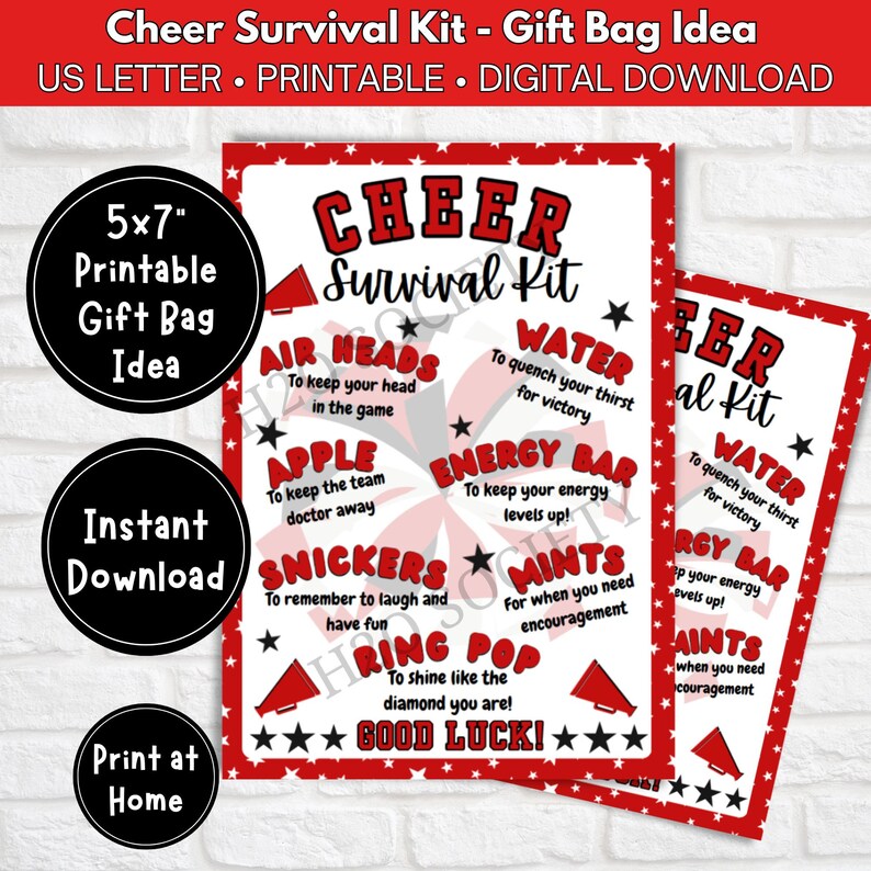 Cheer Survival Kit, Cheerleader Gifts, Gift Bag for Cheer, Cheer Camp ...