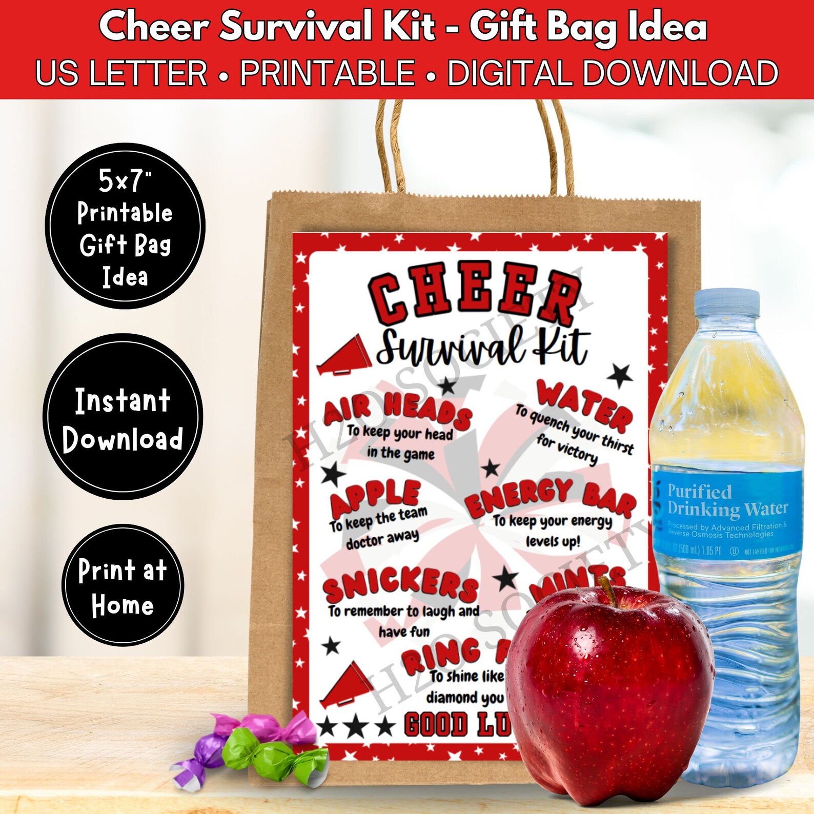 Cheer Survival Kit, Cheerleader Gifts, Gift Bag for Cheer, Cheer Camp ...