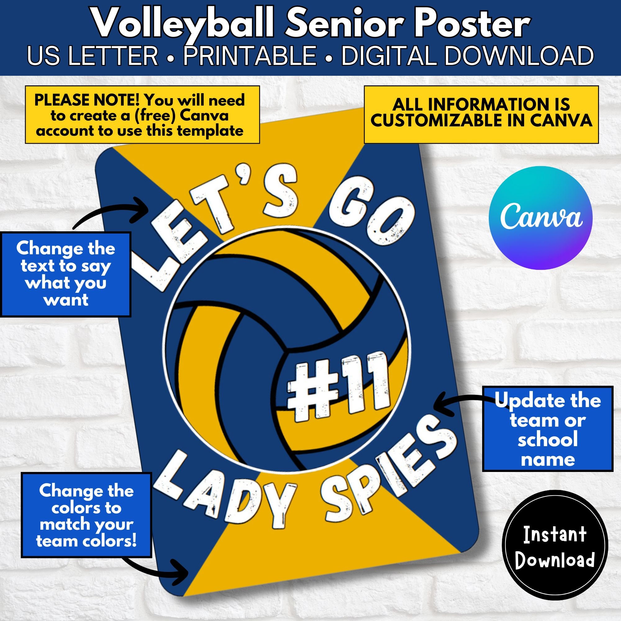 Editable Volleyball Poster, Senior Fan, Volleyball Gift, Senior Night ...