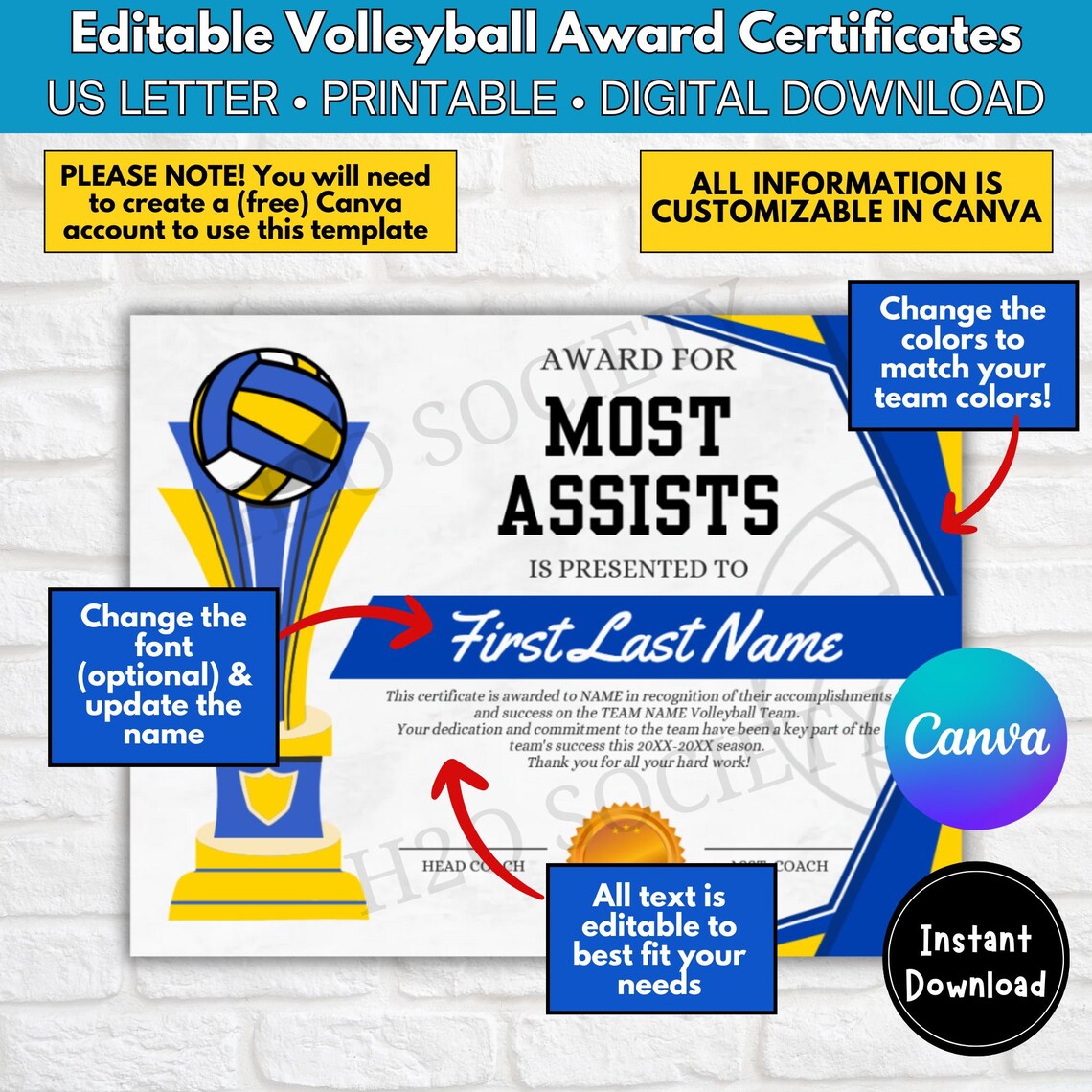 Editable Volleyball Award Certificates, Canva Template, Certificate ...