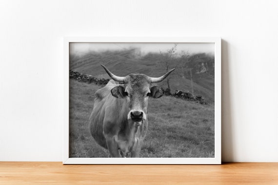 Cow Print Cow Print Animals Prints Printable Cow Immediate | Etsy