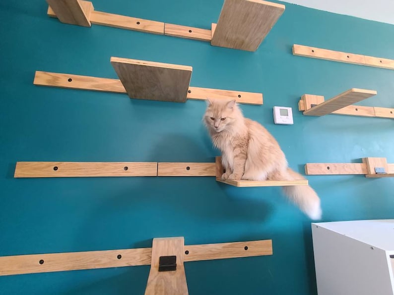 Modular Cat Wall - Etsy