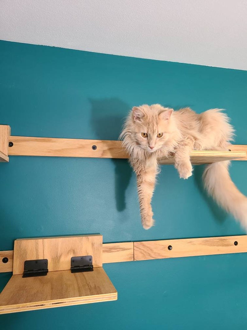 Modular Cat Wall - Etsy