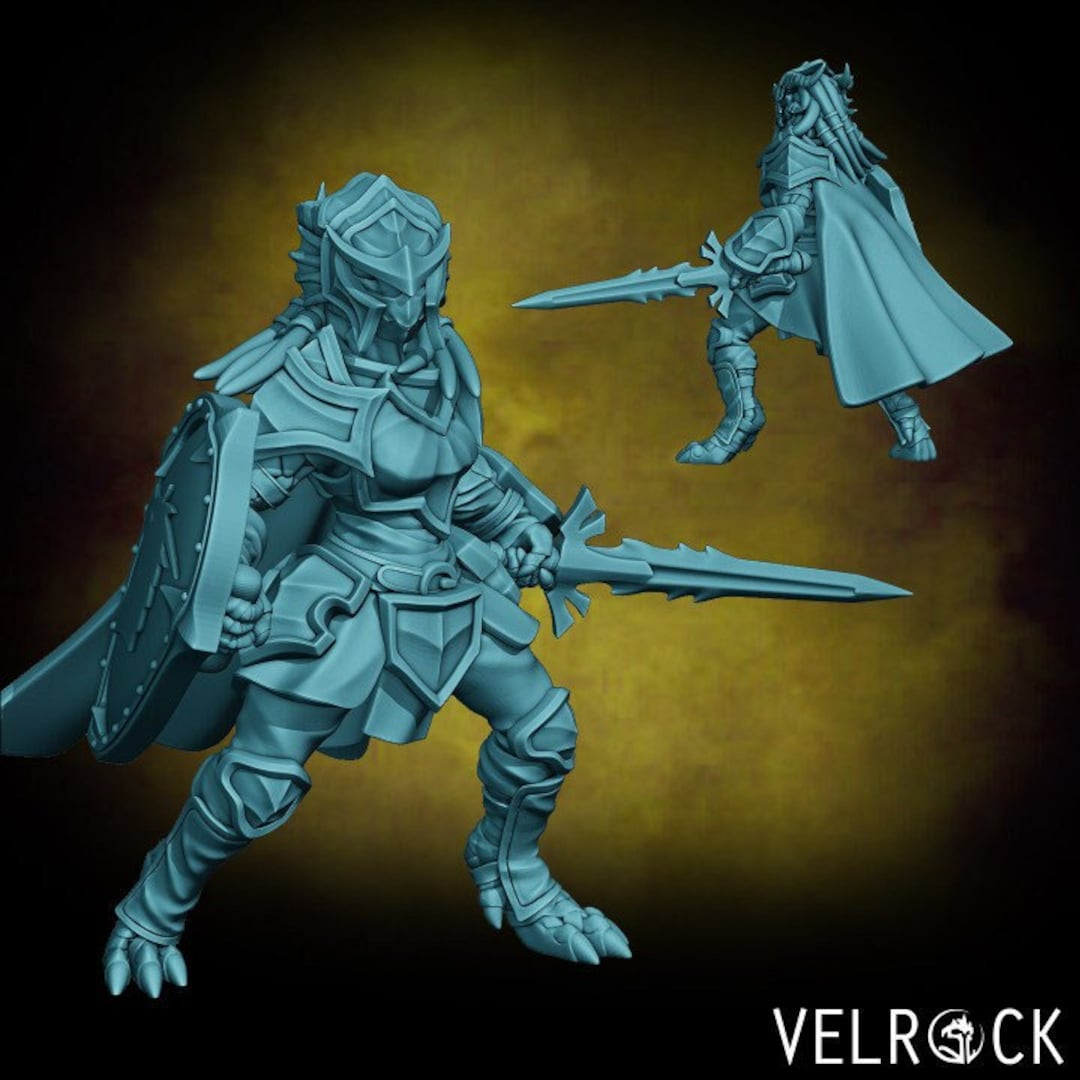 Dragonborn Paladin Of Bahamut