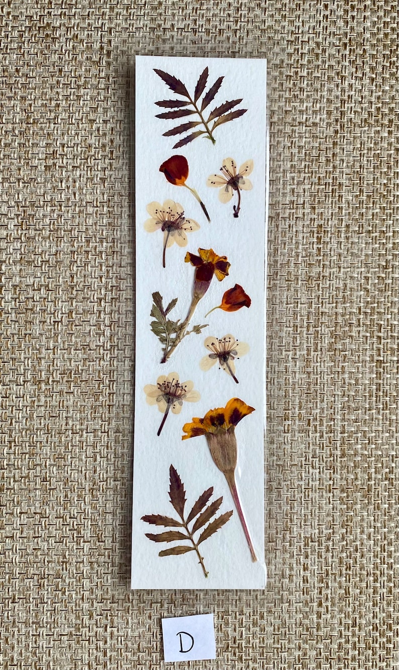 Real Pressed Flower Laminated Bookmarks - Etsy