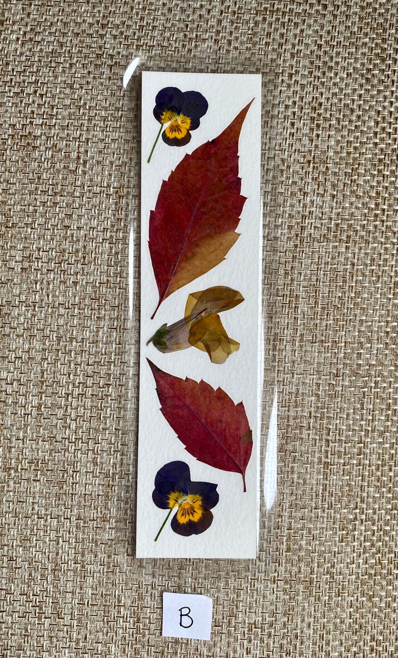Real Pressed Flower Laminated Bookmarks - Etsy