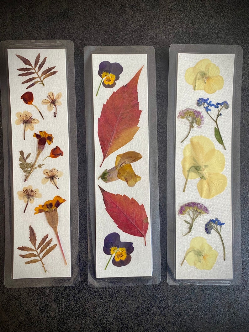 Real Pressed Flower Laminated Bookmarks - Etsy