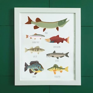 Illustrated Fish Chart Ichthyology Gift Playroom Decor Gallery Wall Art ...