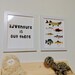 Illustrated Fish Chart | Ichthyology Gift | Playroom Decor | Gallery ...