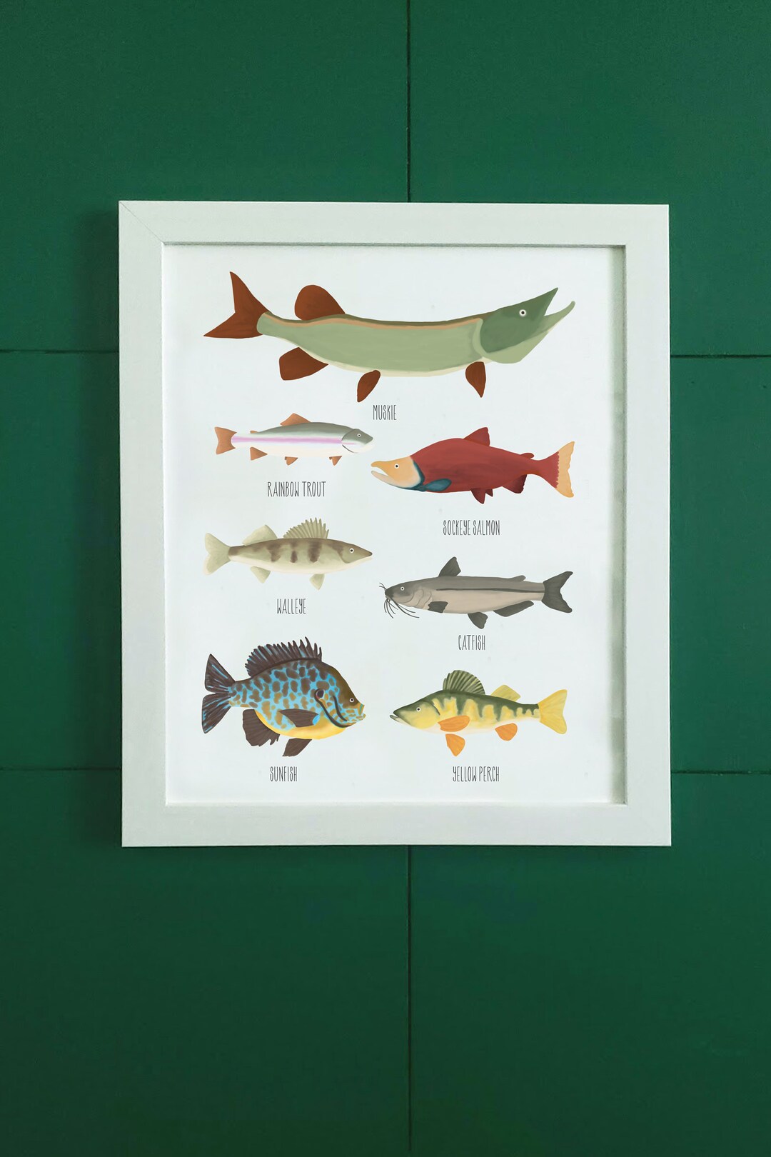 Illustrated Fish Chart | Ichthyology Gift | Playroom Decor | Gallery ...