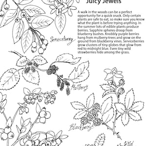 Native Plant Coloring Book - Etsy