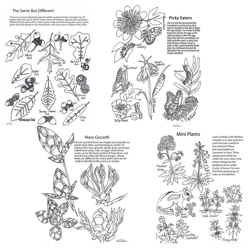 Native Plant Coloring Book - Etsy