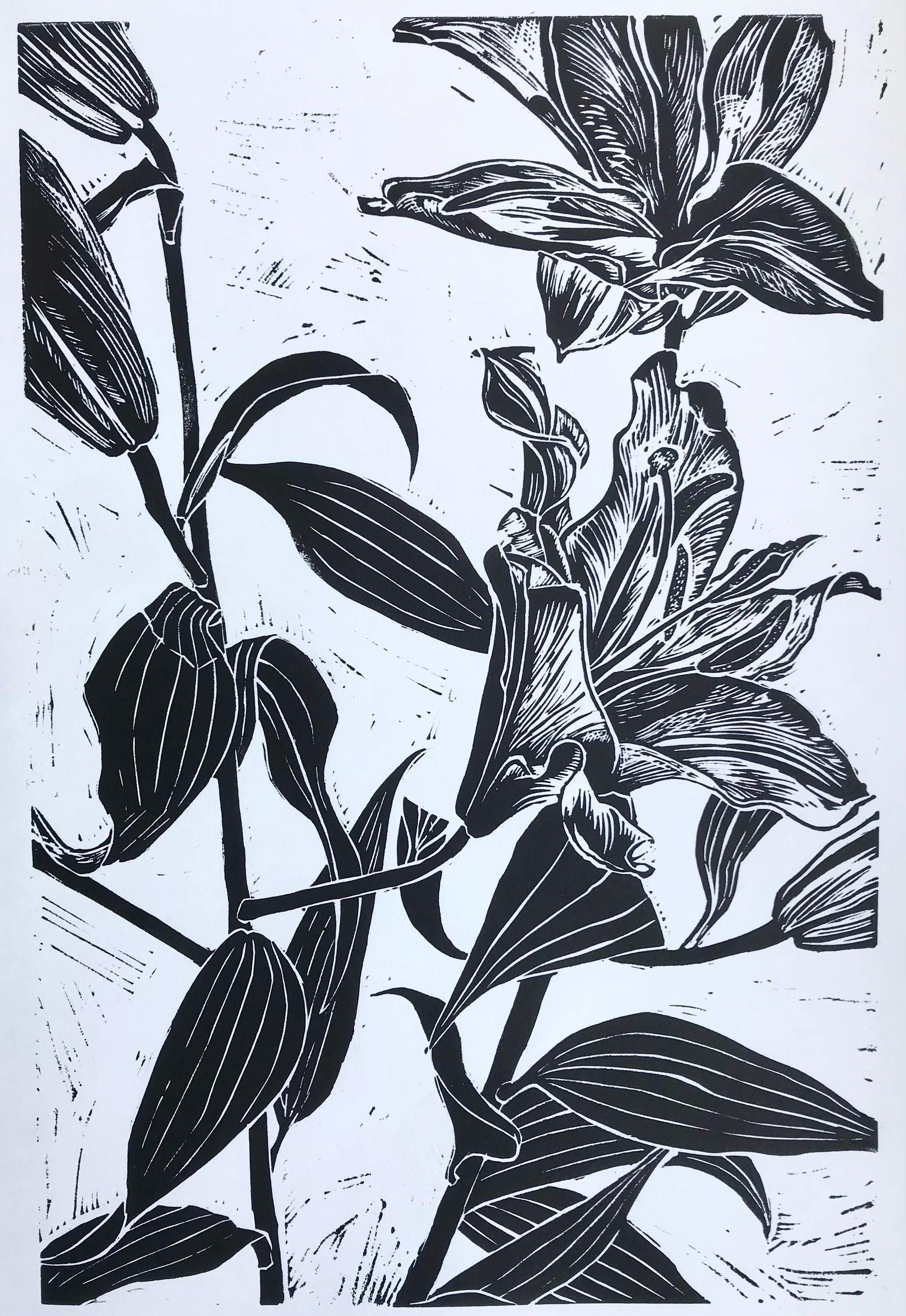 Lily Linocut - Limited Edition Flower Print - Etsy